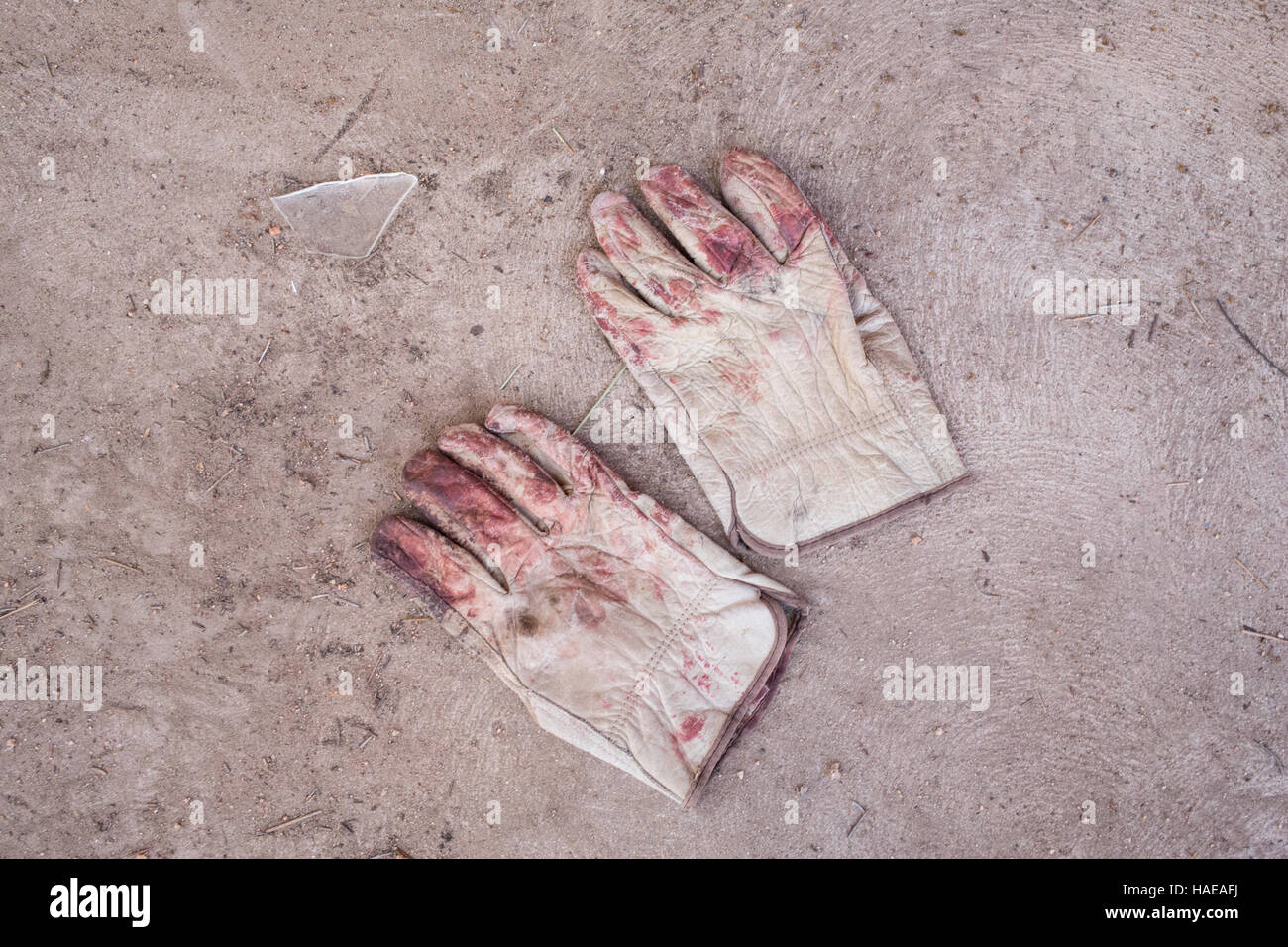 Bloody Accident High Resolution Stock Photography and Images - Alamy