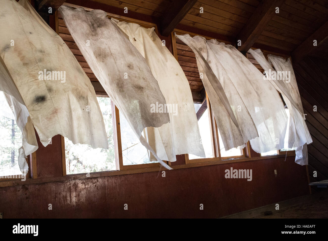 Ripped curtains hi-res stock photography and images - Alamy