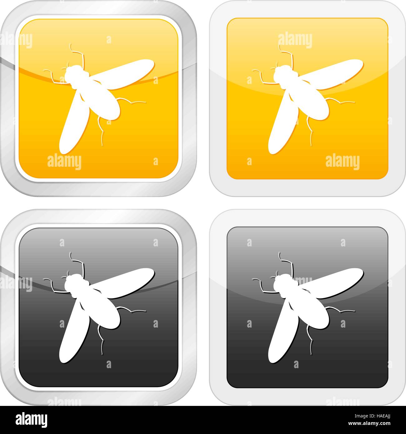 square icon insect set on white background. Vector illustration Stock ...