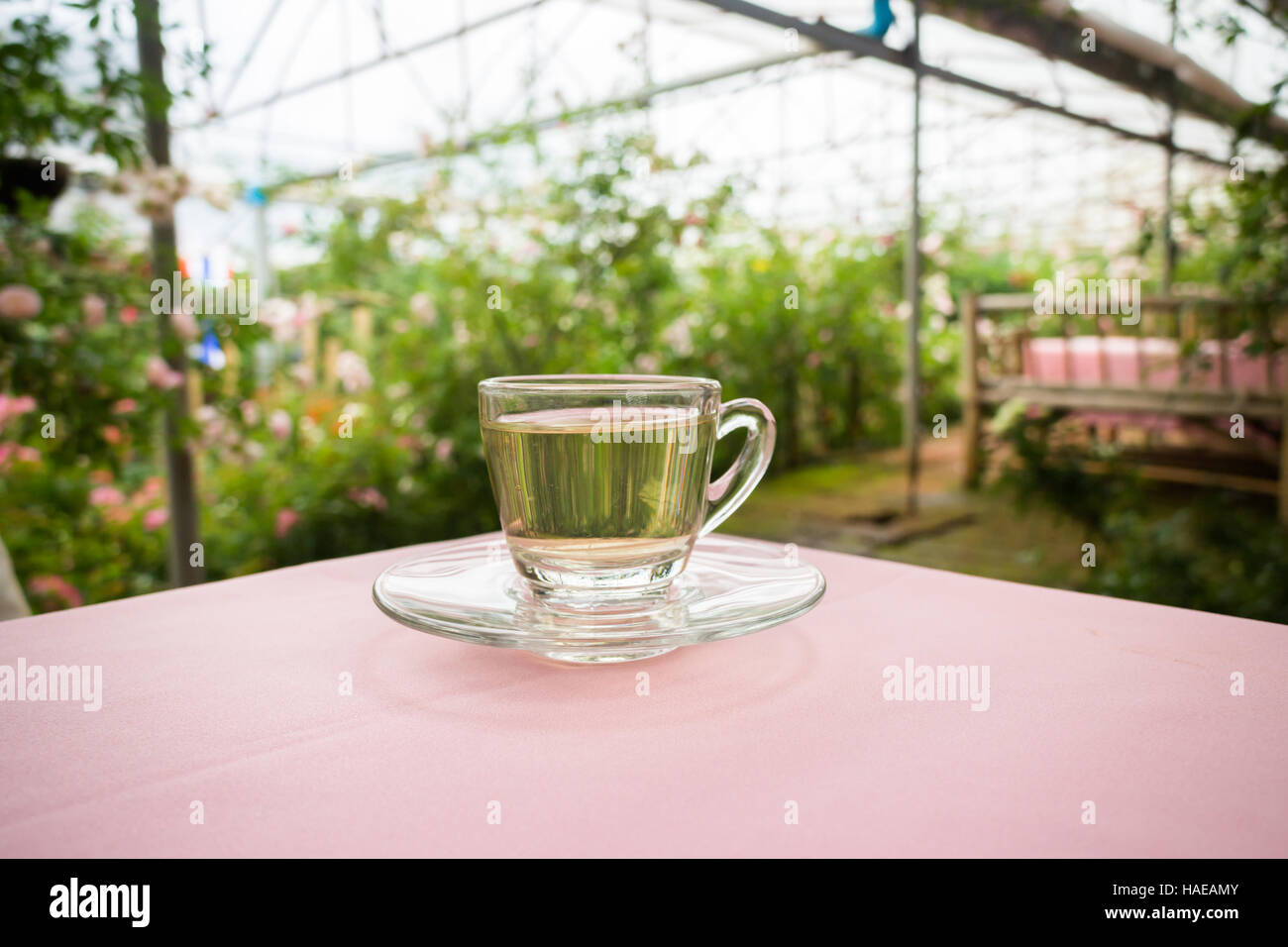 Teatime in the garden hi-res stock photography and images - Alamy