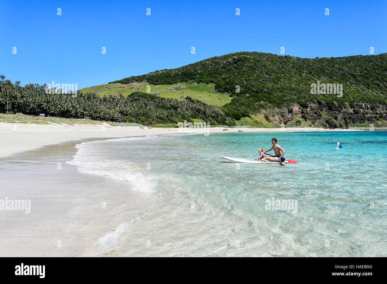 Lord howe island australia surfboard High Resolution Stock Photography ...