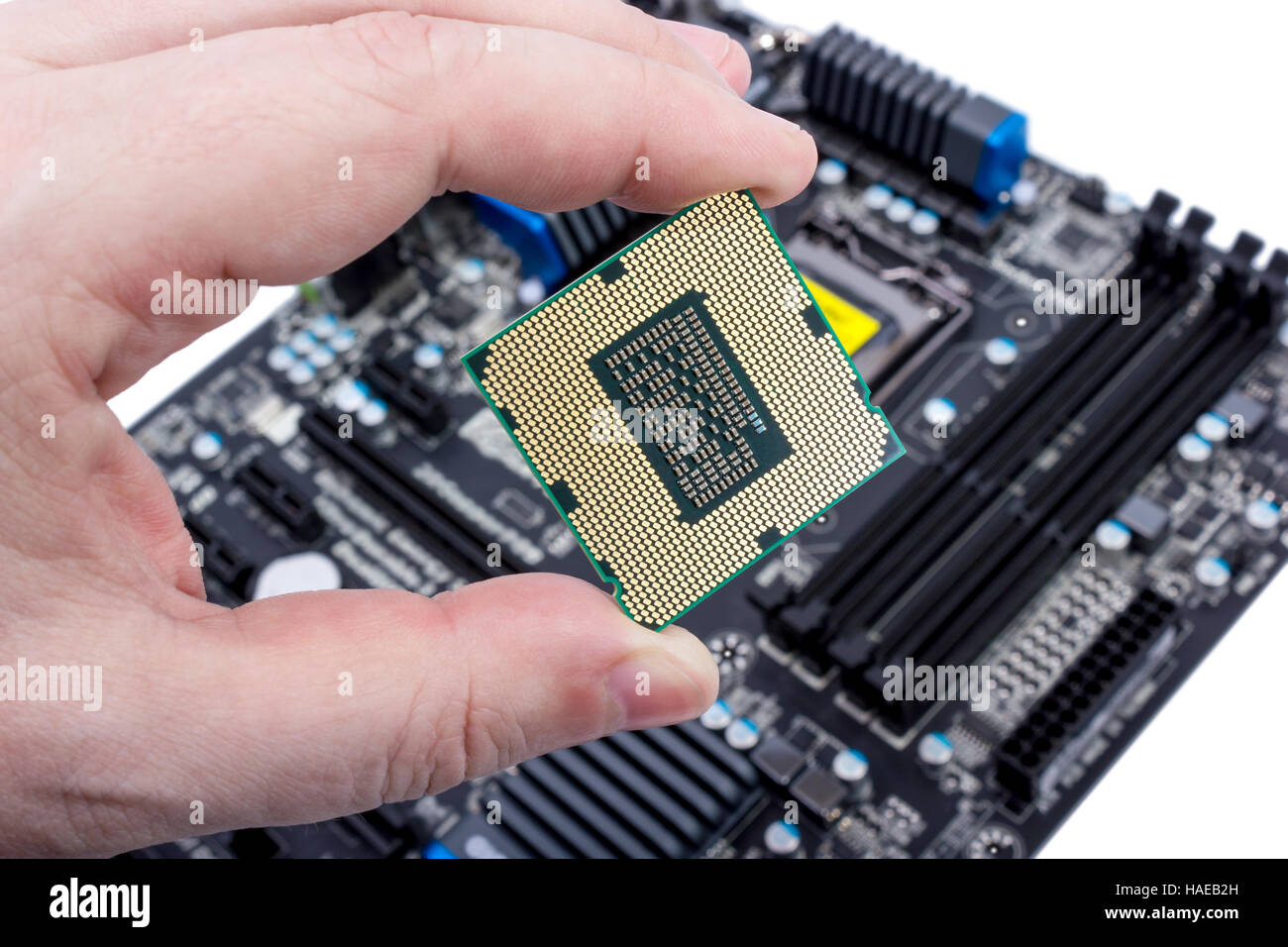 Cpu in hand before installation hi-res stock photography and images - Alamy