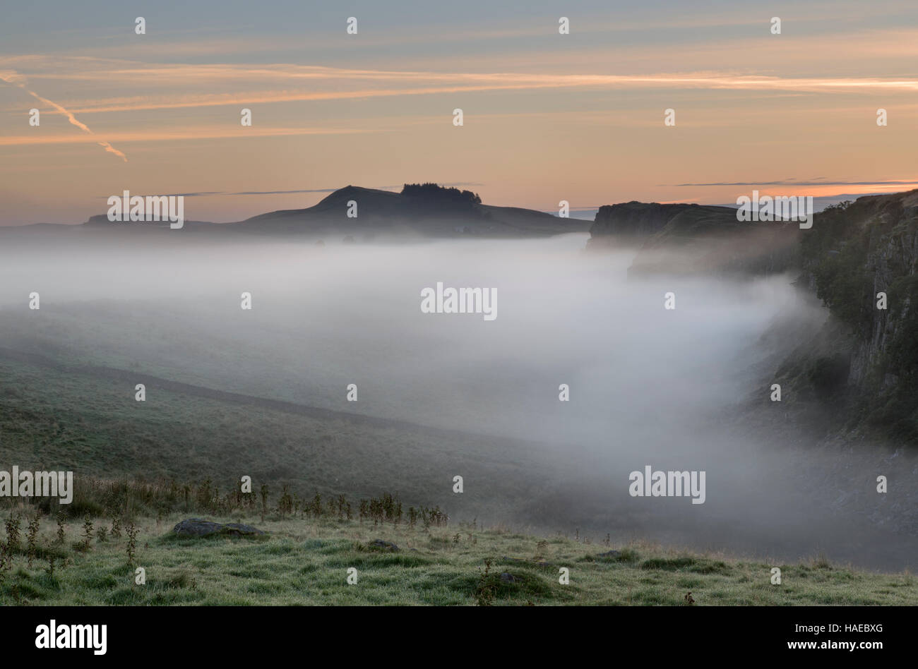 Low level mist hi-res stock photography and images - Alamy