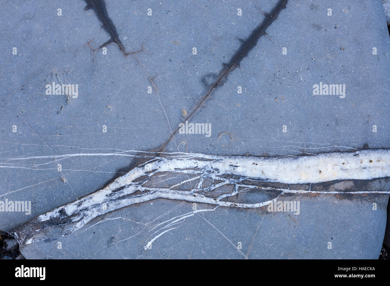 Quartz vein in rocks at Kimmeridge Bay in Dorset Stock Photo - Alamy