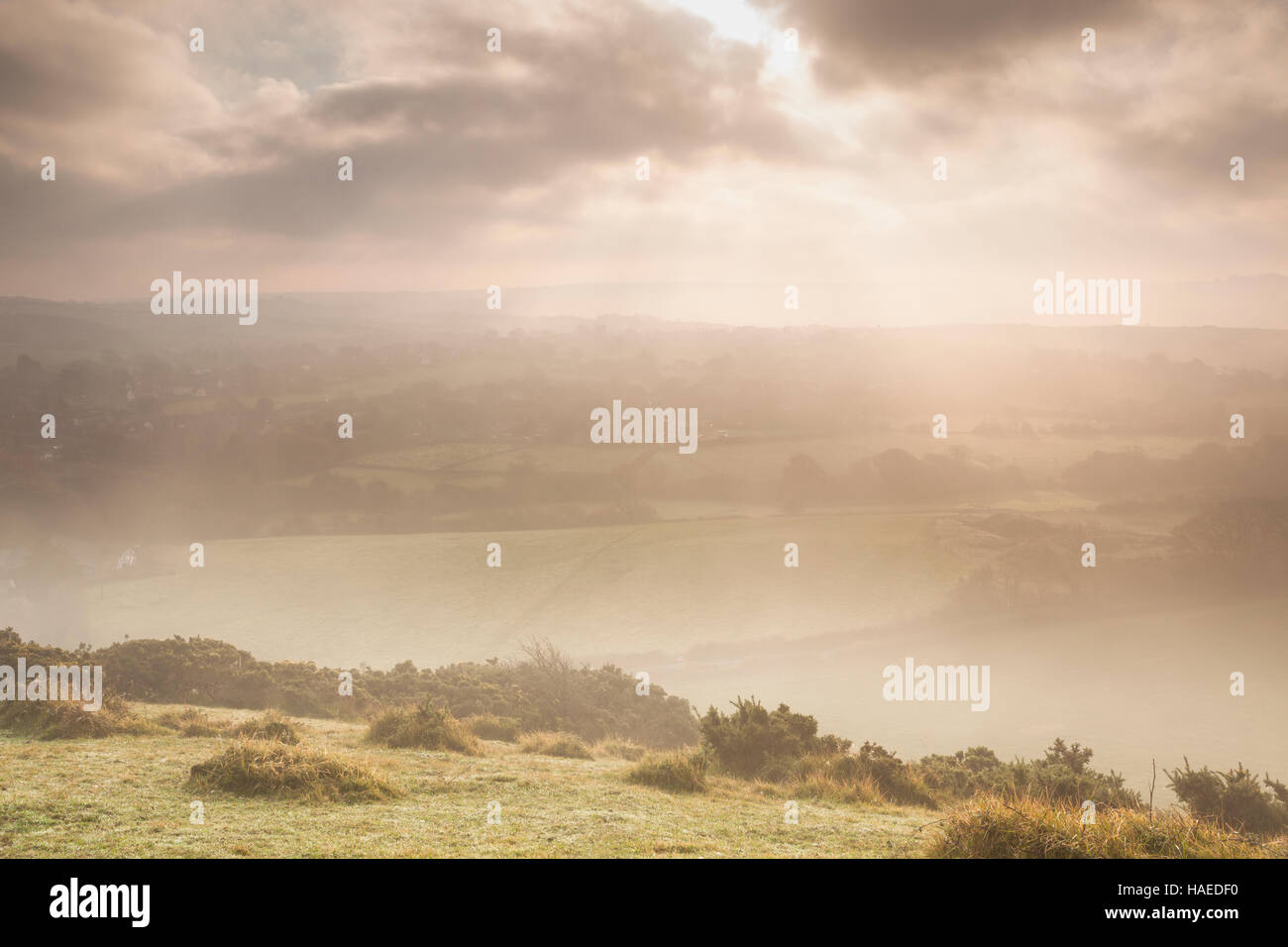 Heavy mist over the Dorset countryside Stock Photo - Alamy