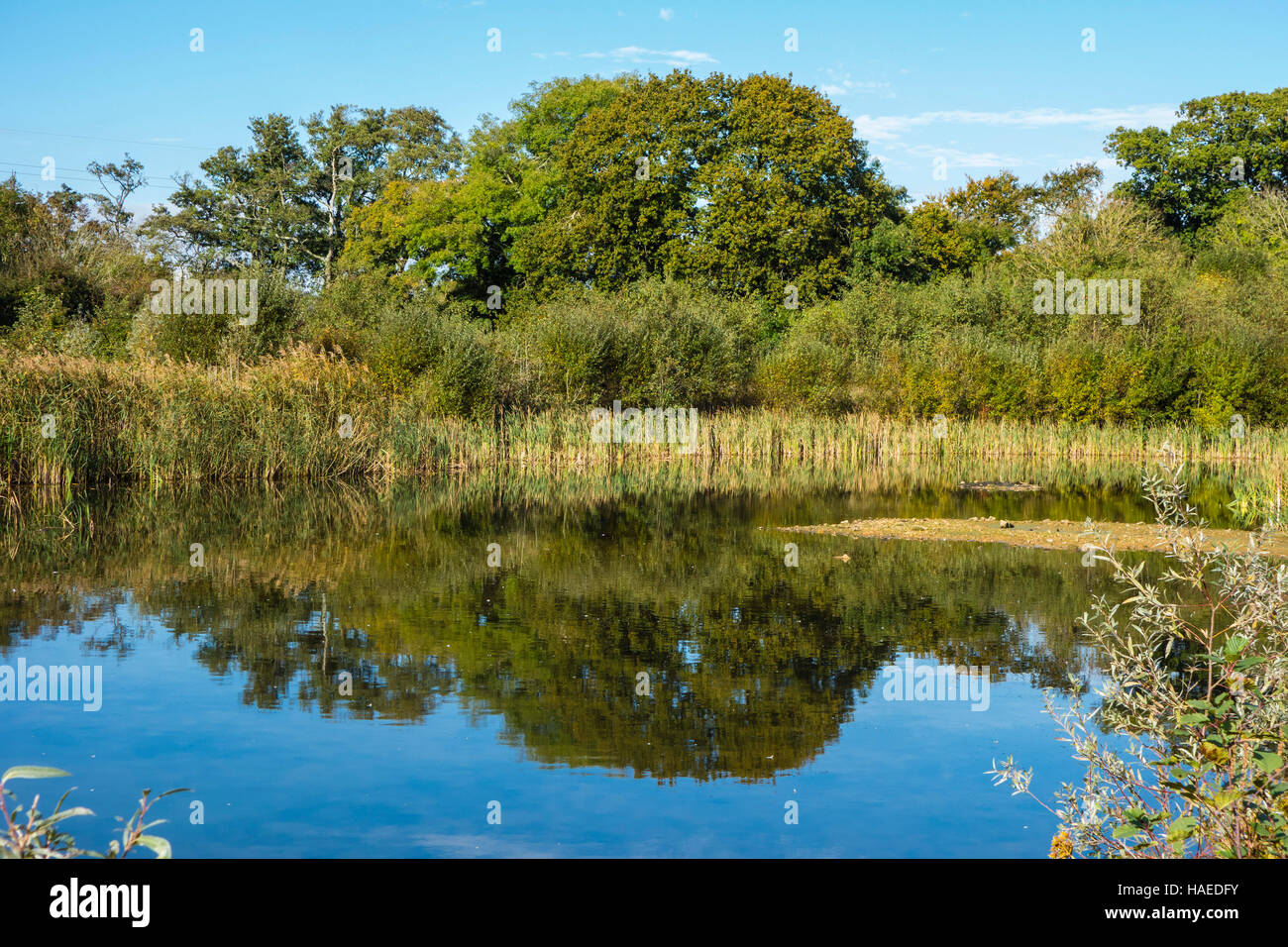 Longham hi-res stock photography and images - Alamy
