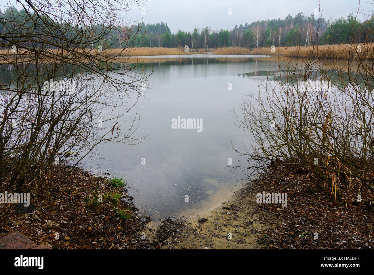 A small lake near the private wooden house Stock Photo - Alamy