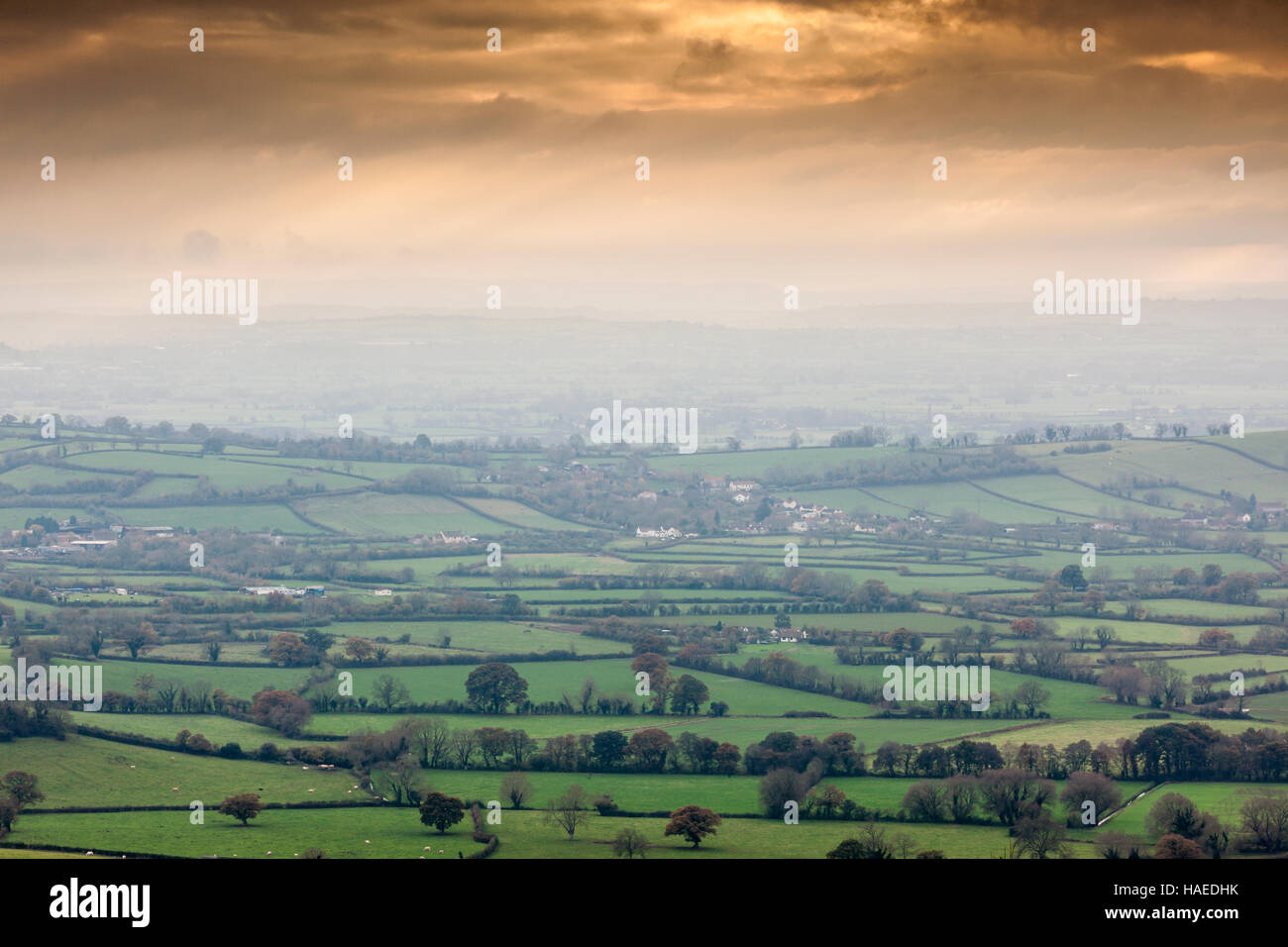 The Somerset Levels Stock Photo - Alamy