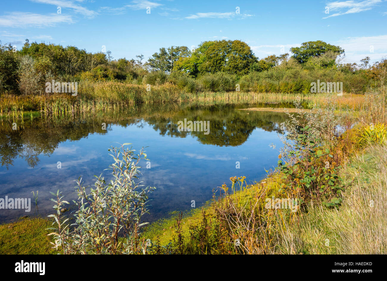 Longham lakes hi-res stock photography and images - Alamy