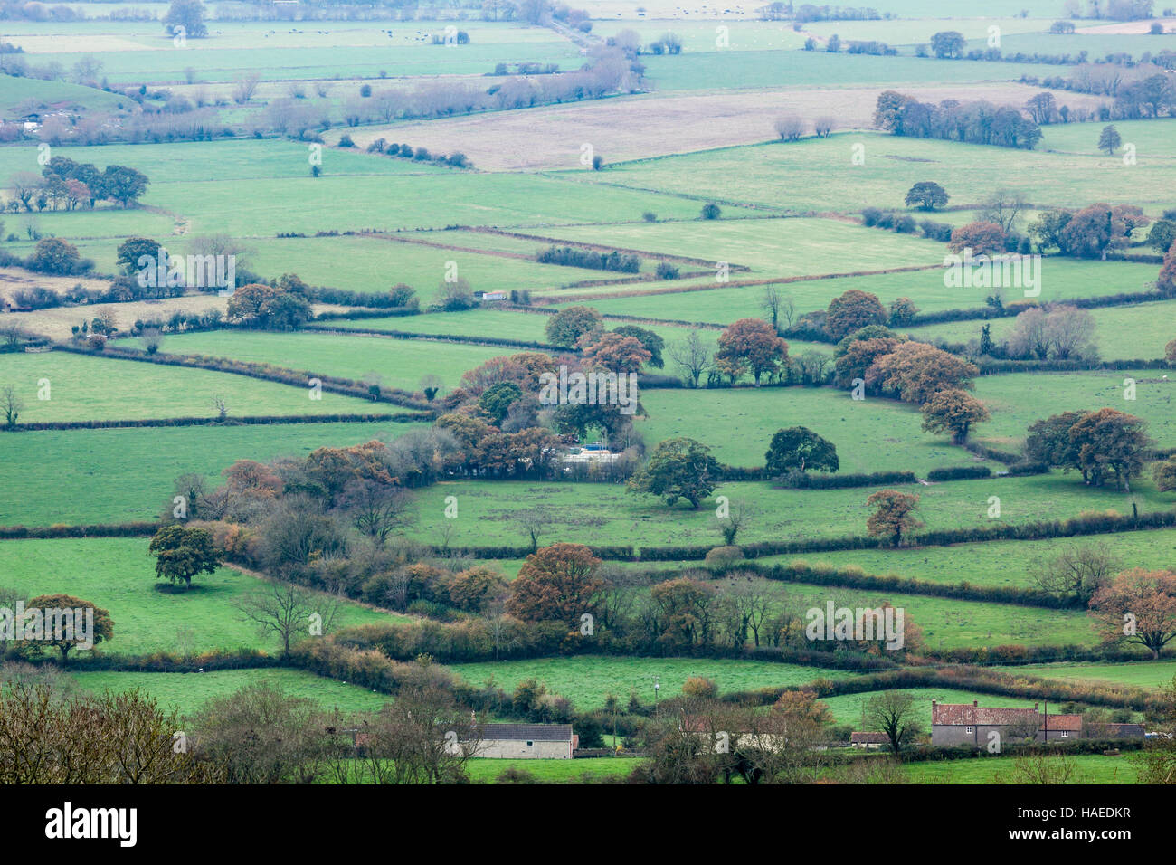 The Somerset Levels Stock Photo - Alamy