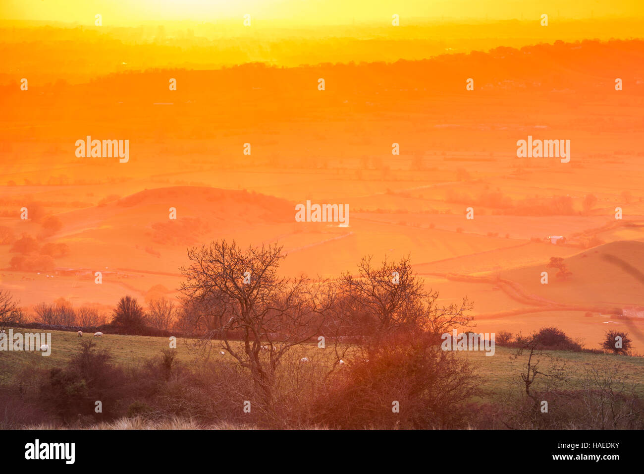 The Somerset Levels Stock Photo - Alamy