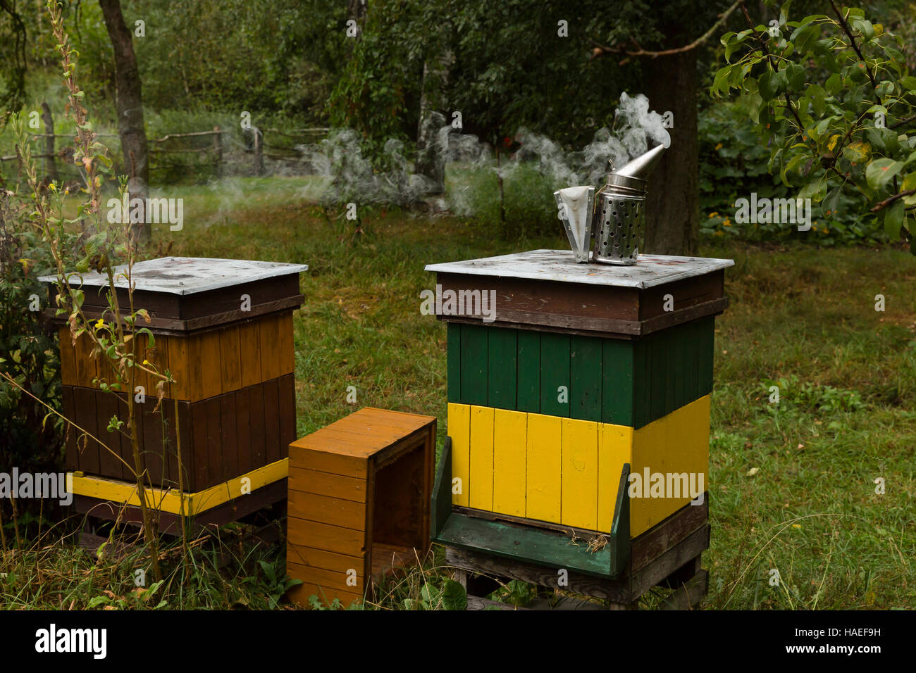 Beehives and bees in the apiary Stock Photo - Alamy