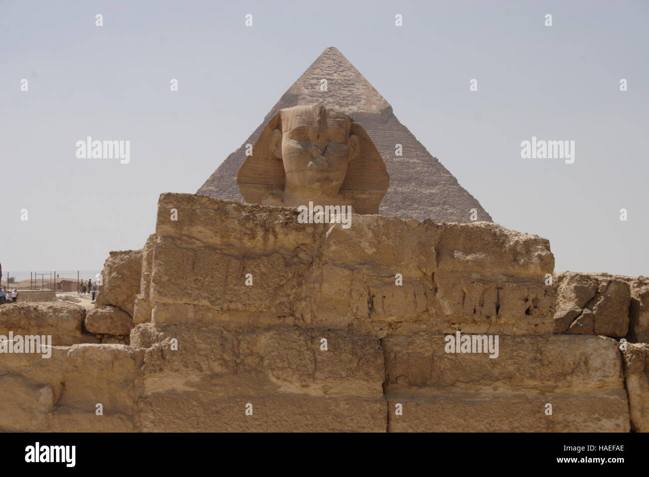 The Sphinx and the Pyramid and in the front a Wall Stock Photo - Alamy