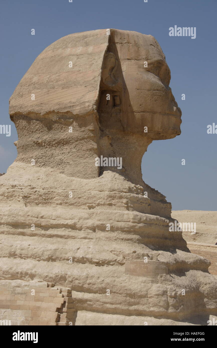 A close up of the Sphinx Stock Photo - Alamy