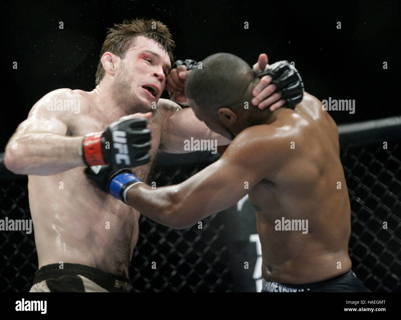 Forrest griffin ufc hi-res stock photography and images - Alamy