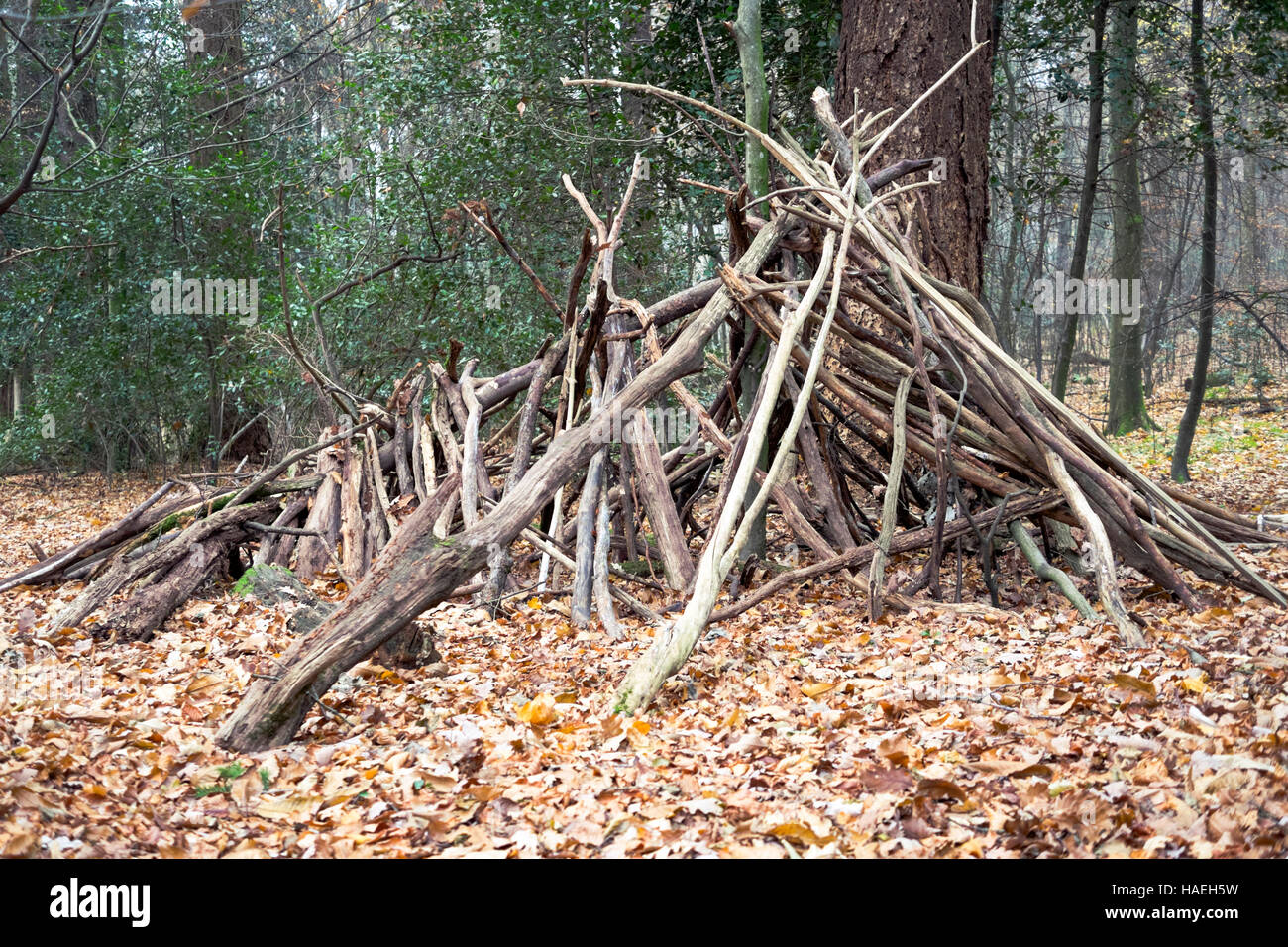Makeshift house in the woods Stock Photo - Alamy