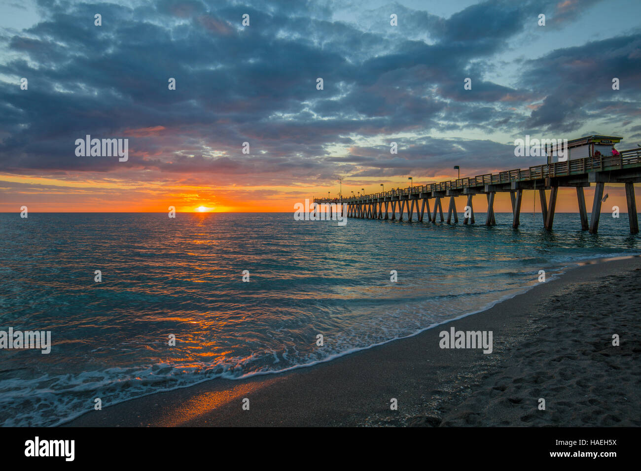 Sunset over Gulf of Mexico and Venice Pier from the beach in Venice on ...