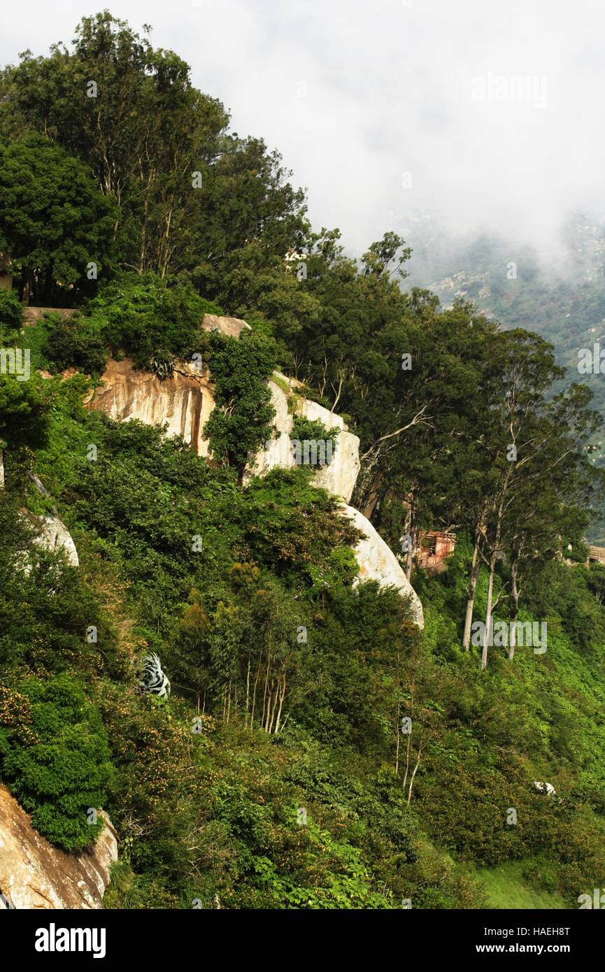 Nandi hills forest, near Bangalore international airport, India Stock ...