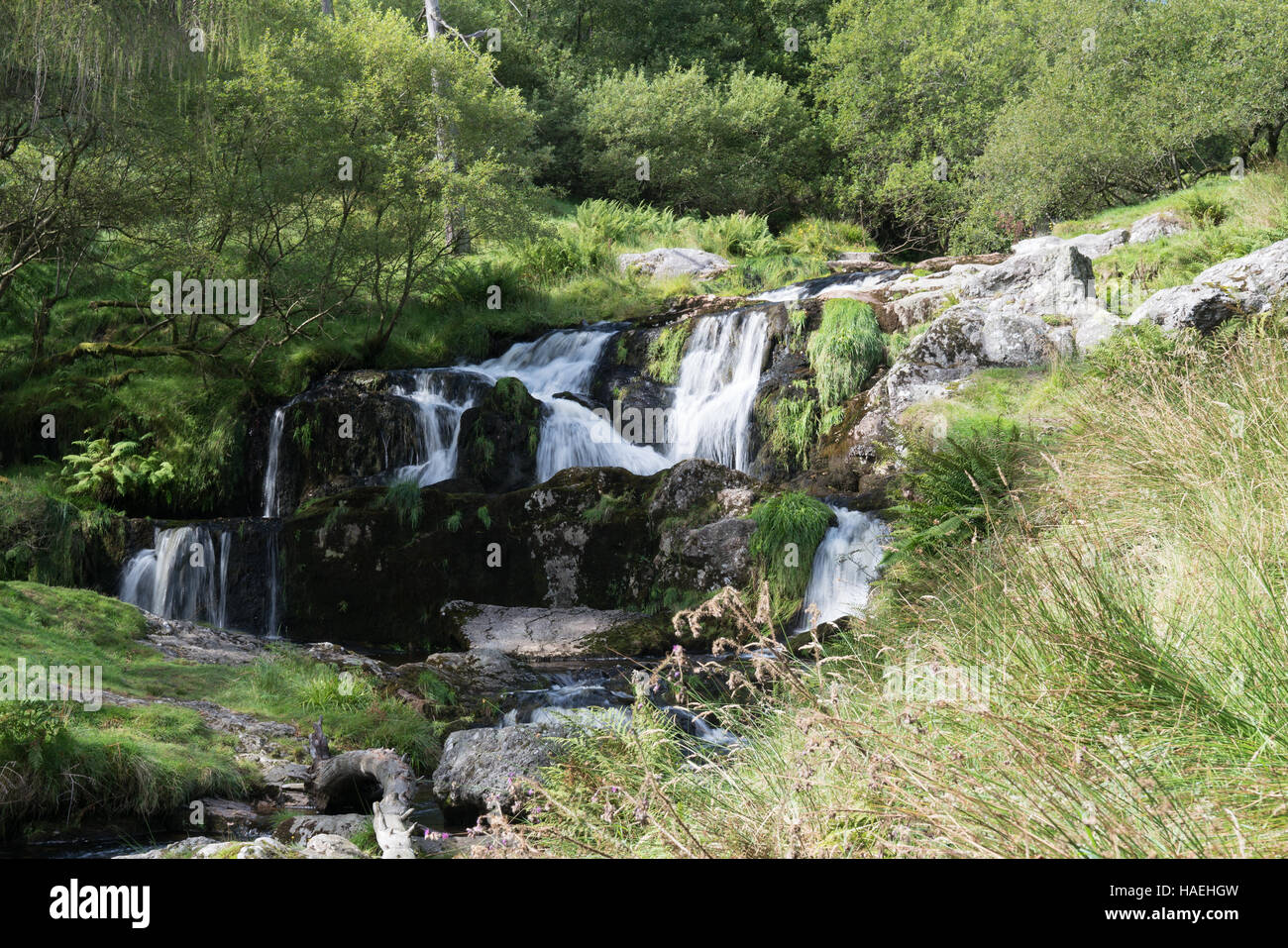 Small waterfall above the main falls at Pistyll Rhaeadr Stock Photo - Alamy