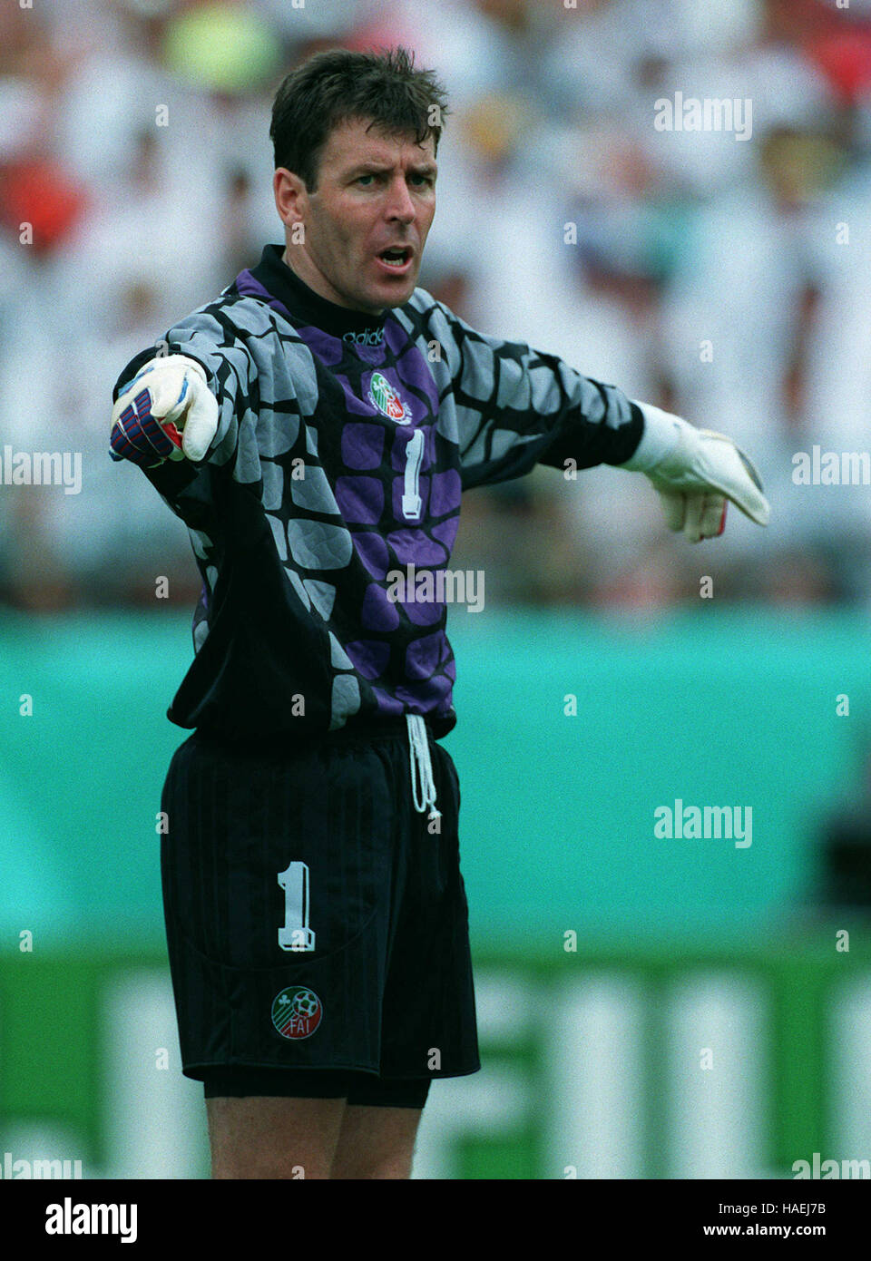 Patrick Bonner's Instagram, Twitter & Facebook on IDCrawl