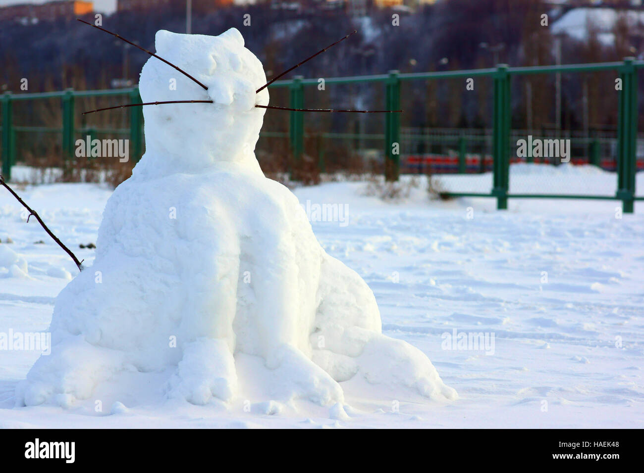 Recreational cat hi-res stock photography and images - Alamy