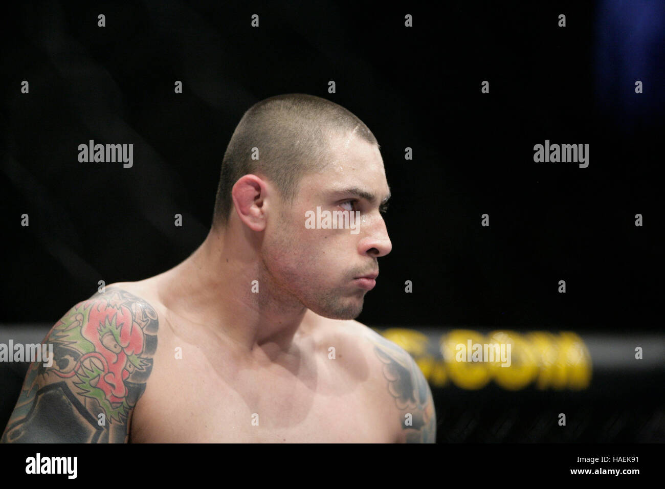 Thiago Silva at UFC 94 at the MGM Grand Arena, on January 31, 2009 in ...