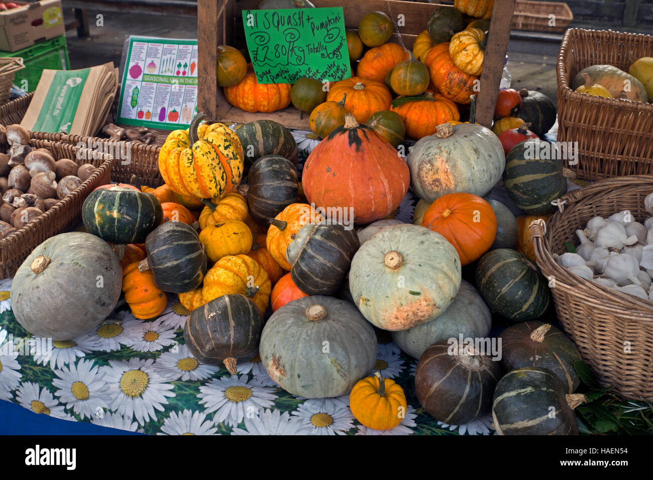 A variety of colourful pumpkins marrows and squashes at the Farmer's ...