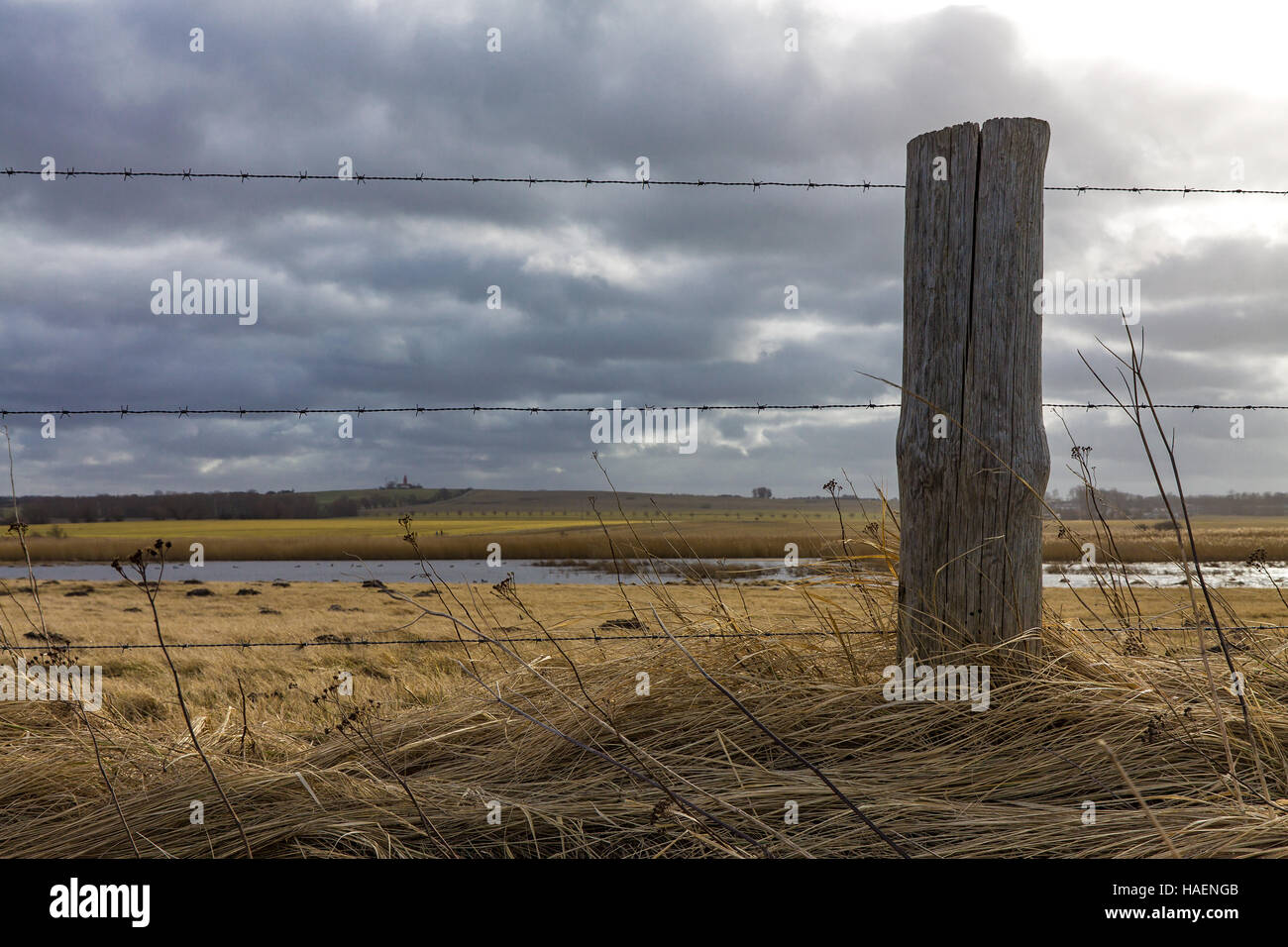 Baltic Way High Resolution Stock Photography and Images - Alamy