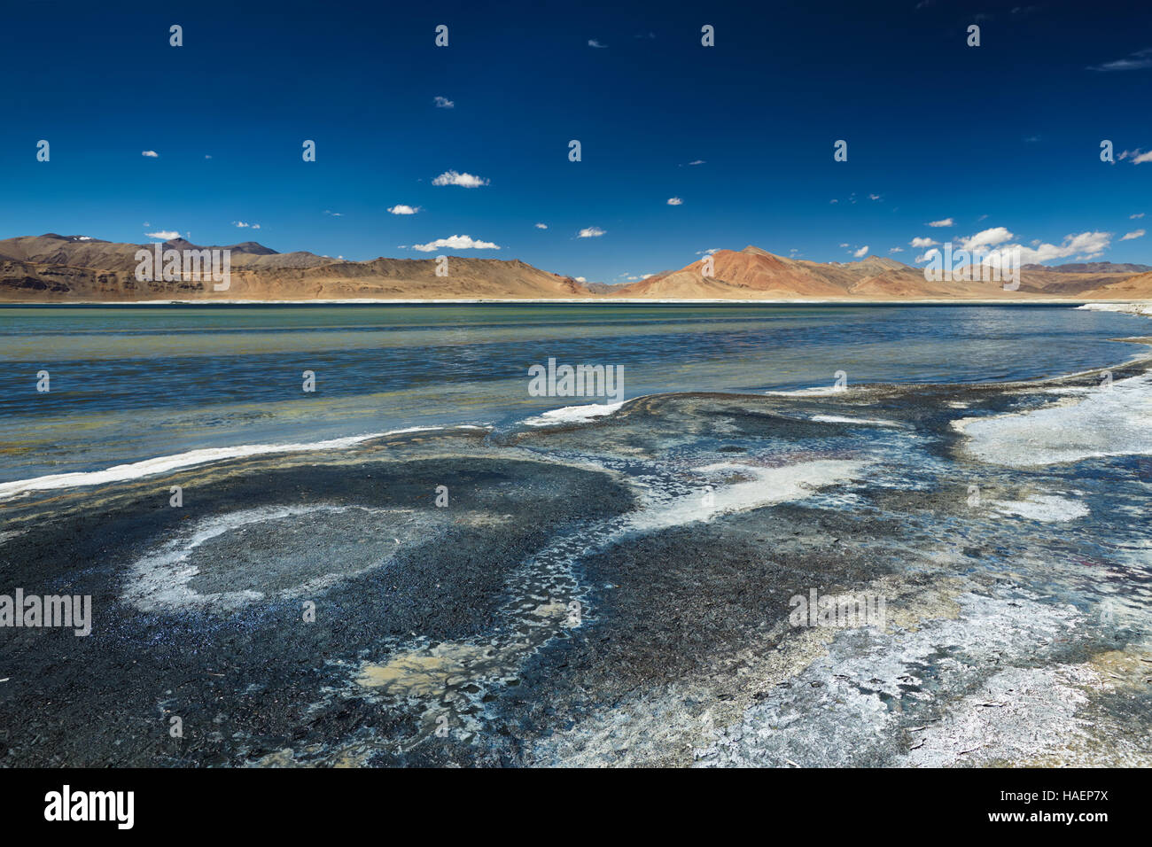 Himalayan lake Tso Kar in Himalayas, Ladakh, India Stock Photo - Alamy