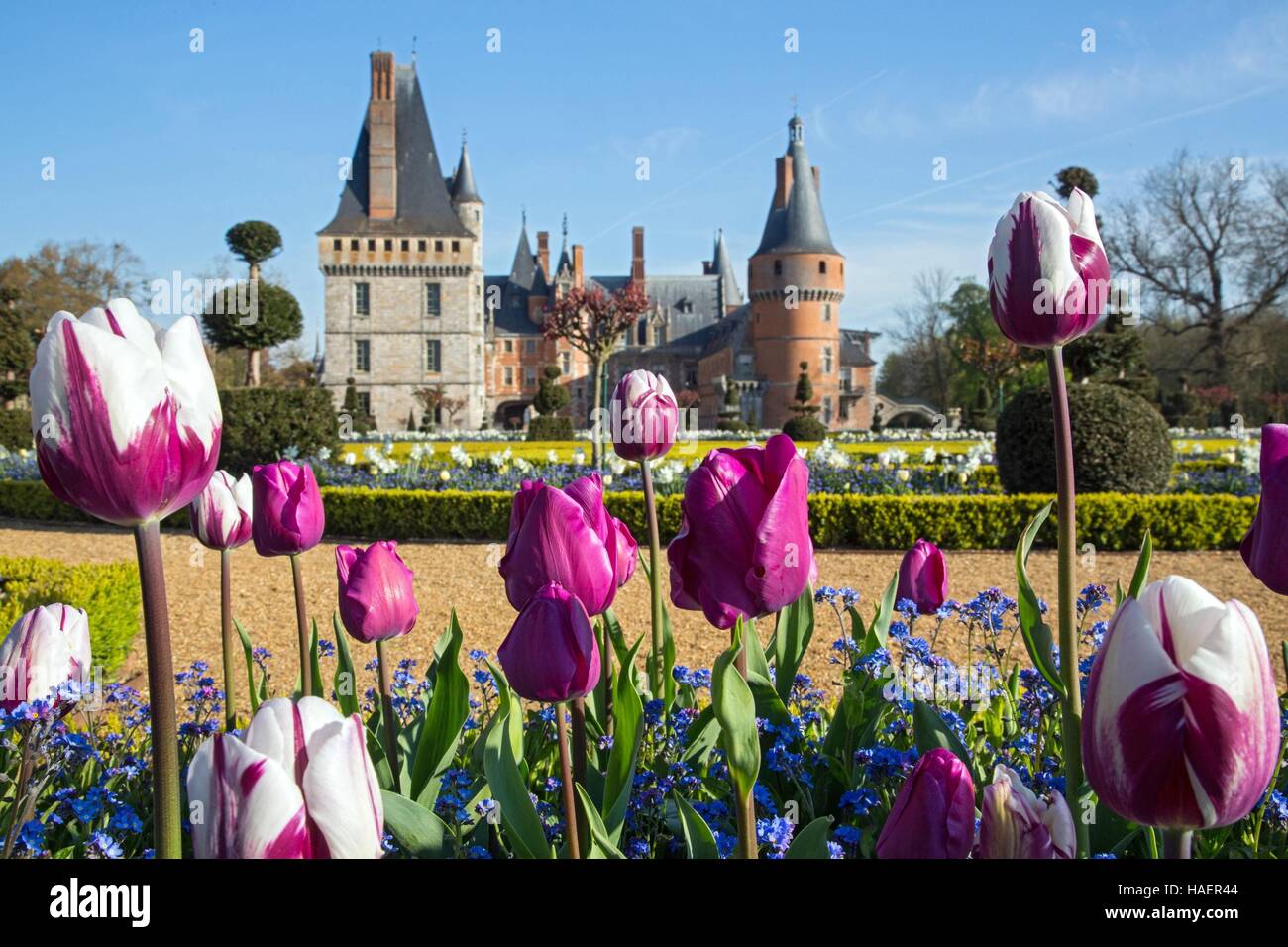 Madame le notre hi-res stock photography and images - Alamy