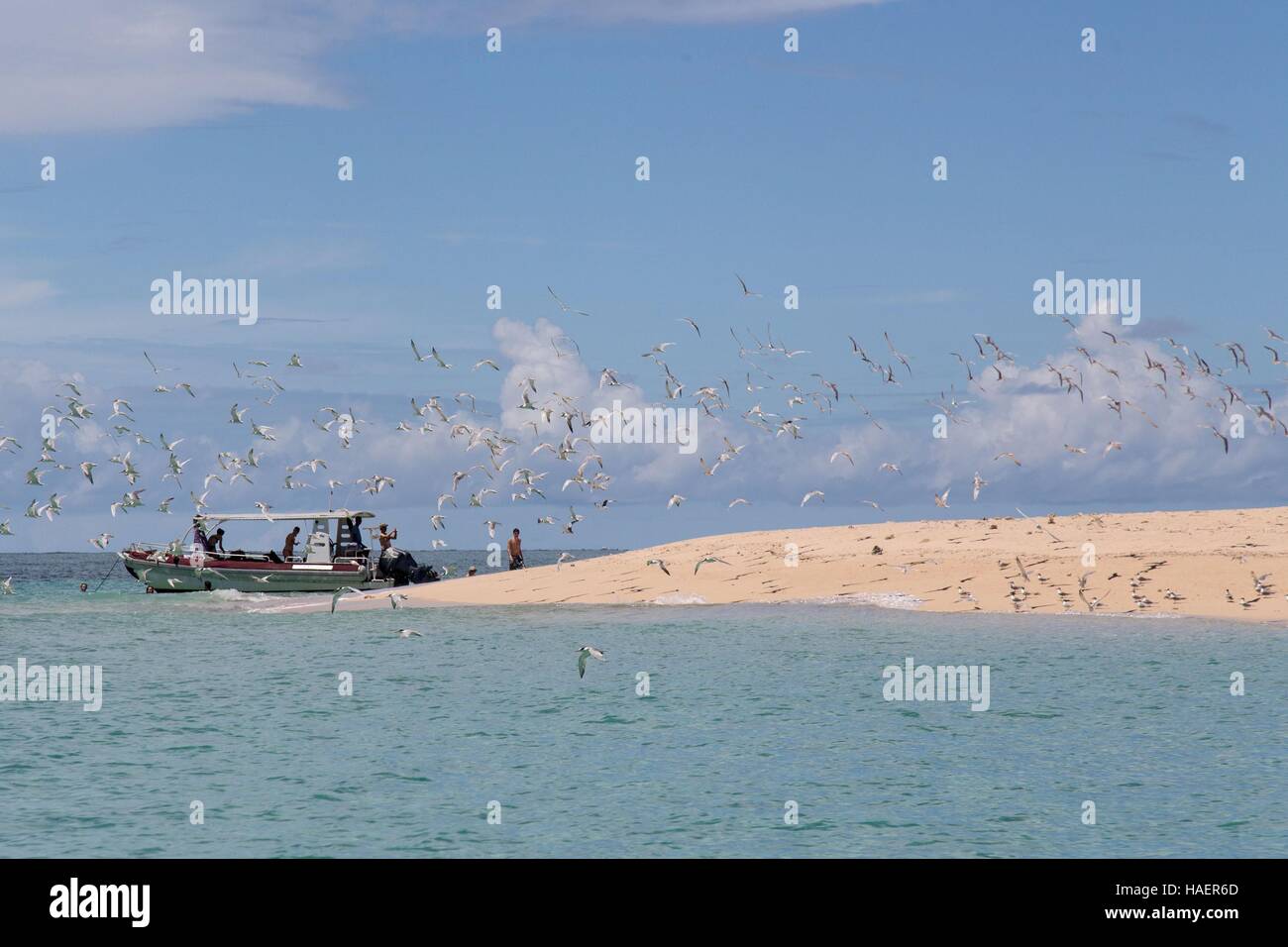 Comores islands hi-res stock photography and images - Alamy