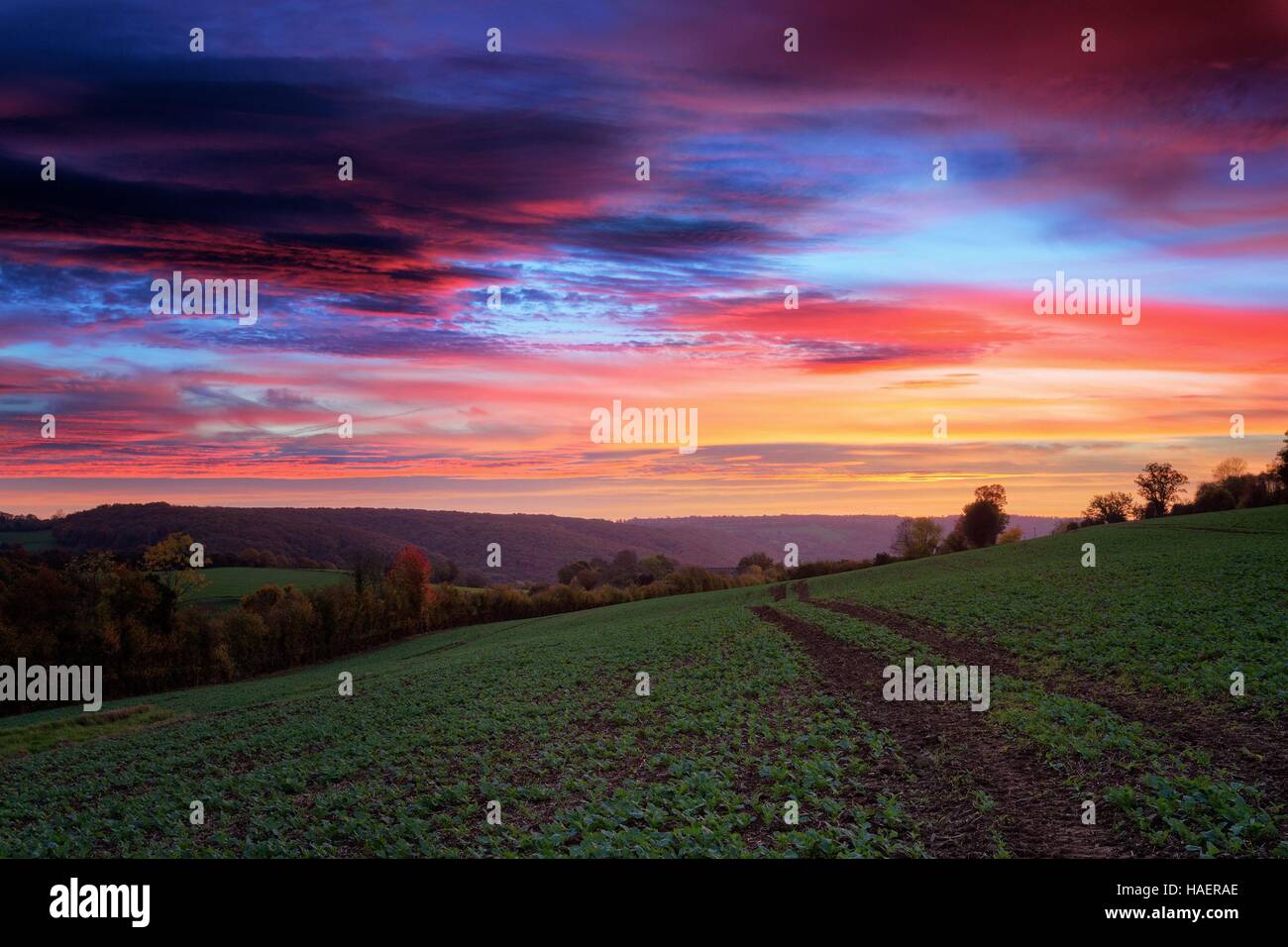 Swiss normandy hi-res stock photography and images - Alamy