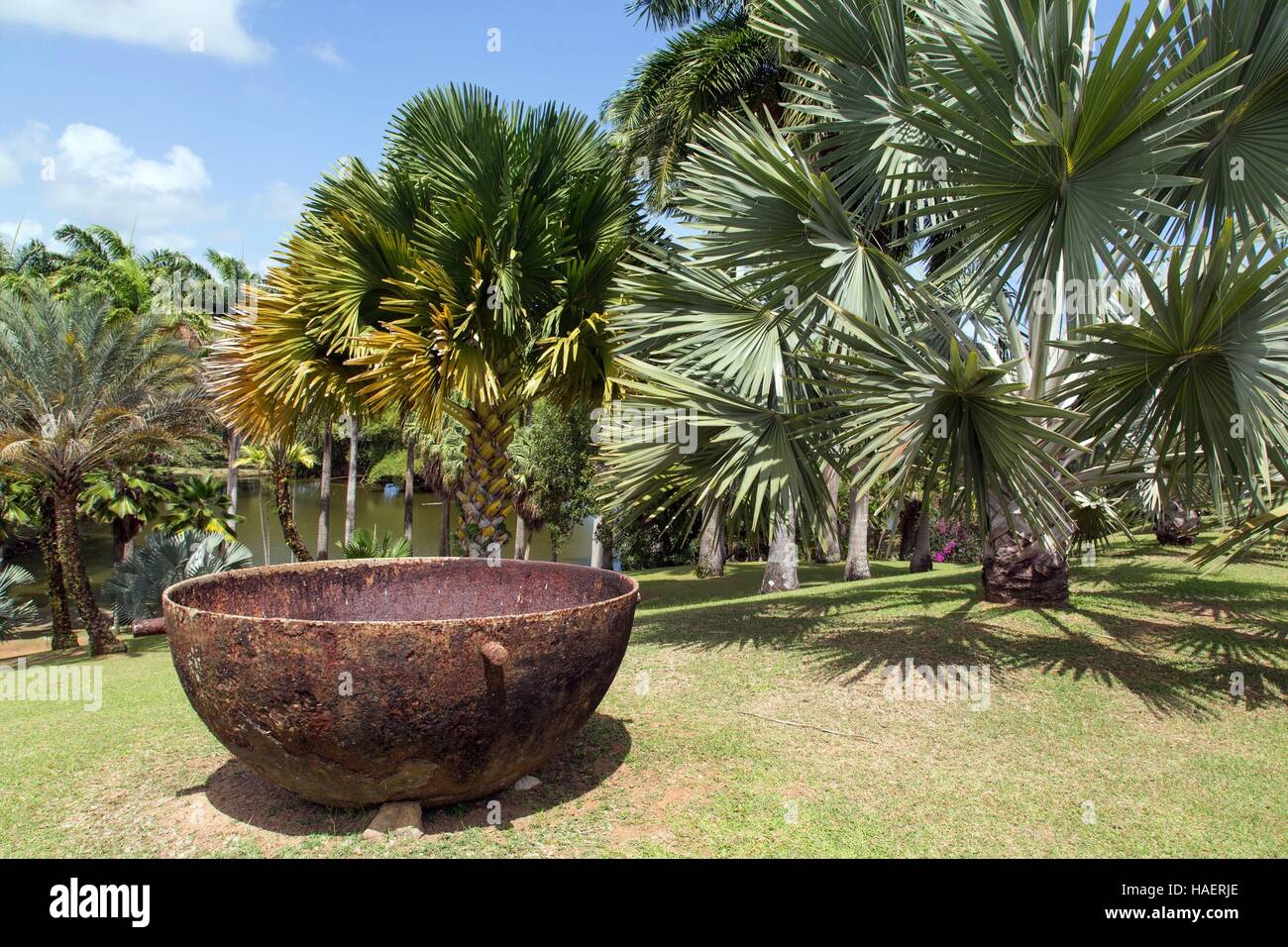 Clement distillery hi-res stock photography and images - Alamy