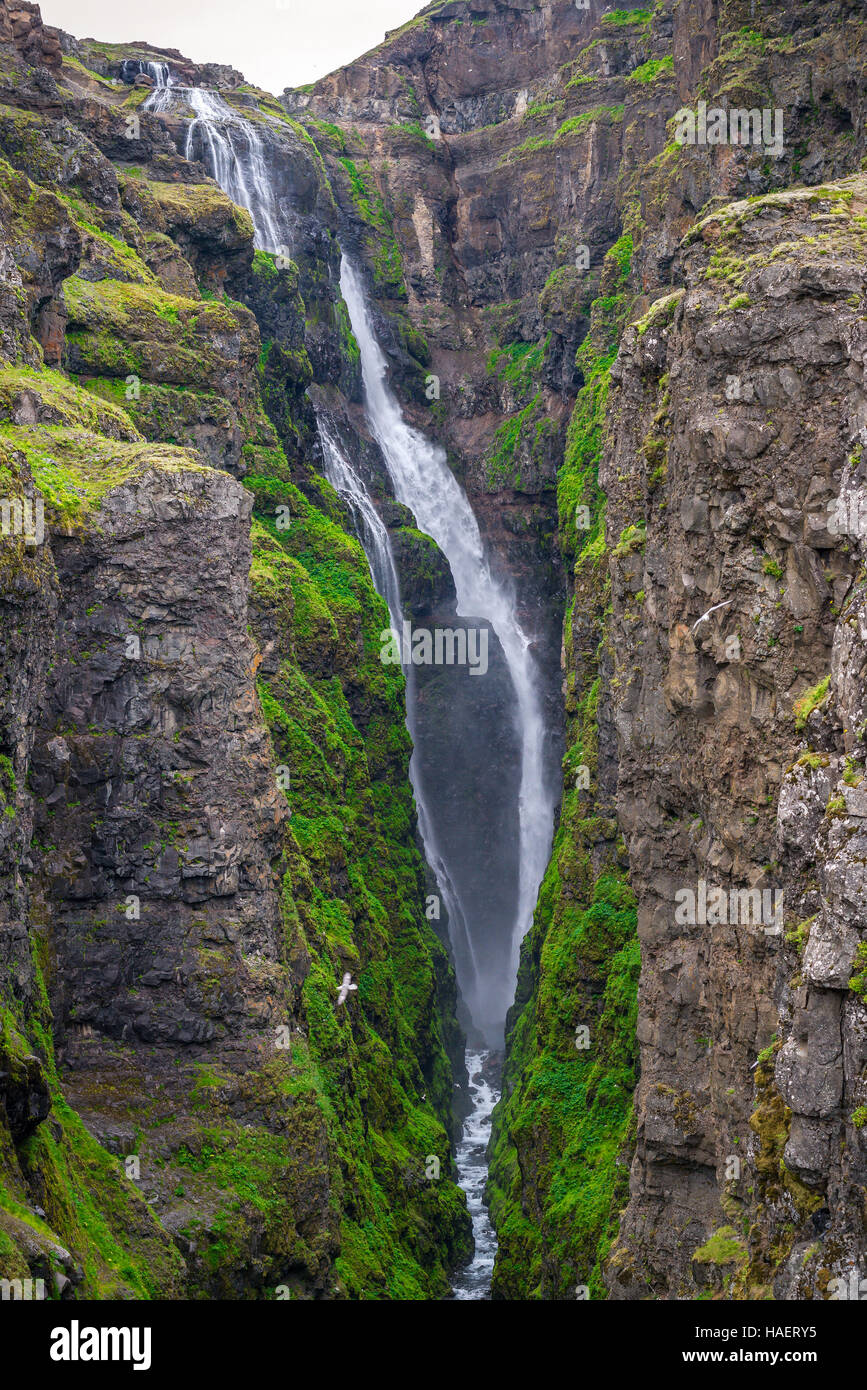 Glymur waterfall during summer in Iceland Stock Photo - Alamy