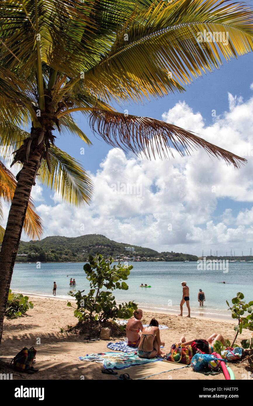 ILLUSTRATION OF MARTINIQUE, FRENCH ANTILLES, FRANCE Stock Photo - Alamy