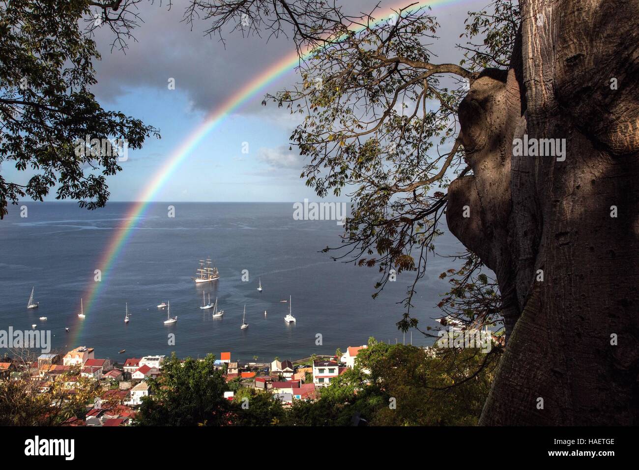 ILLUSTRATION OF MARTINIQUE, FRENCH ANTILLES, FRANCE Stock Photo - Alamy
