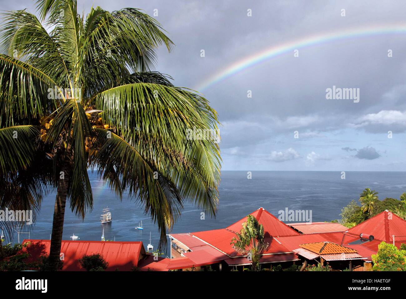 ILLUSTRATION OF MARTINIQUE, FRENCH ANTILLES, FRANCE Stock Photo - Alamy
