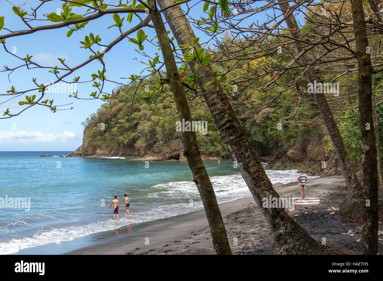 ILLUSTRATION OF MARTINIQUE, FRENCH ANTILLES, FRANCE Stock Photo - Alamy