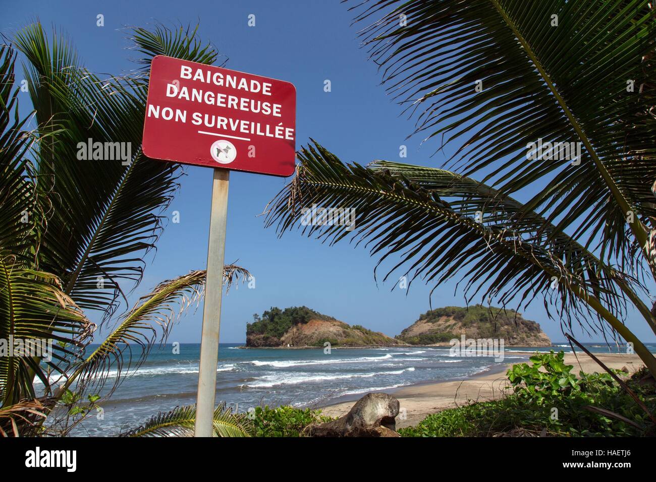 ILLUSTRATION OF MARTINIQUE, FRENCH ANTILLES, FRANCE Stock Photo - Alamy