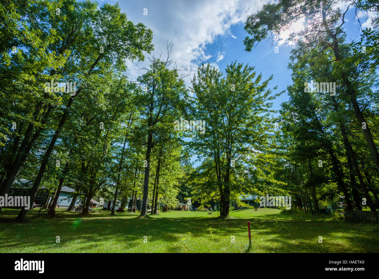 Lawn park park sun hi-res stock photography and images - Alamy
