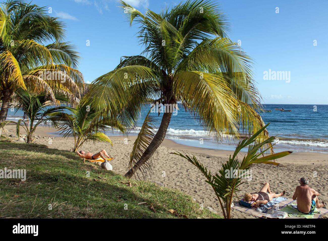 ILLUSTRATION OF MARTINIQUE, FRENCH ANTILLES, FRANCE Stock Photo - Alamy