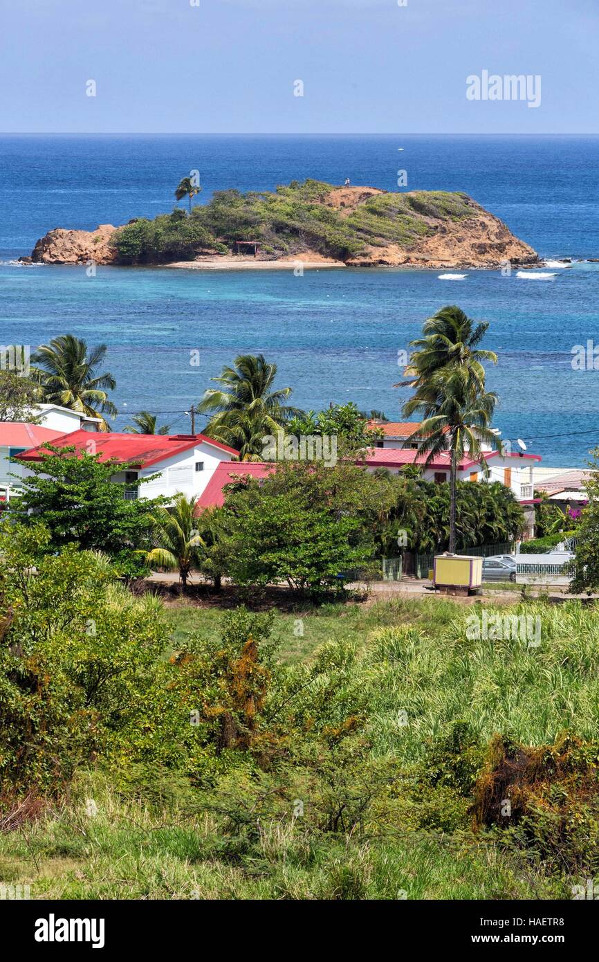 ILLUSTRATION OF MARTINIQUE, FRENCH ANTILLES, FRANCE Stock Photo - Alamy