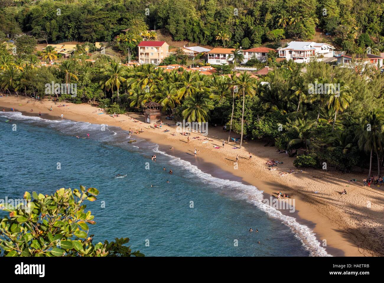 ILLUSTRATION OF MARTINIQUE, FRENCH ANTILLES, FRANCE Stock Photo - Alamy