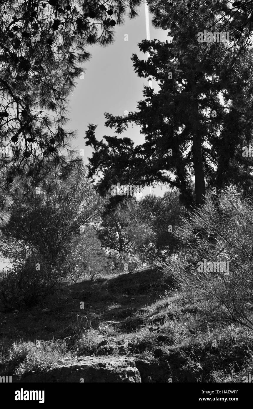 Nature photography out in the open space Stock Photo - Alamy