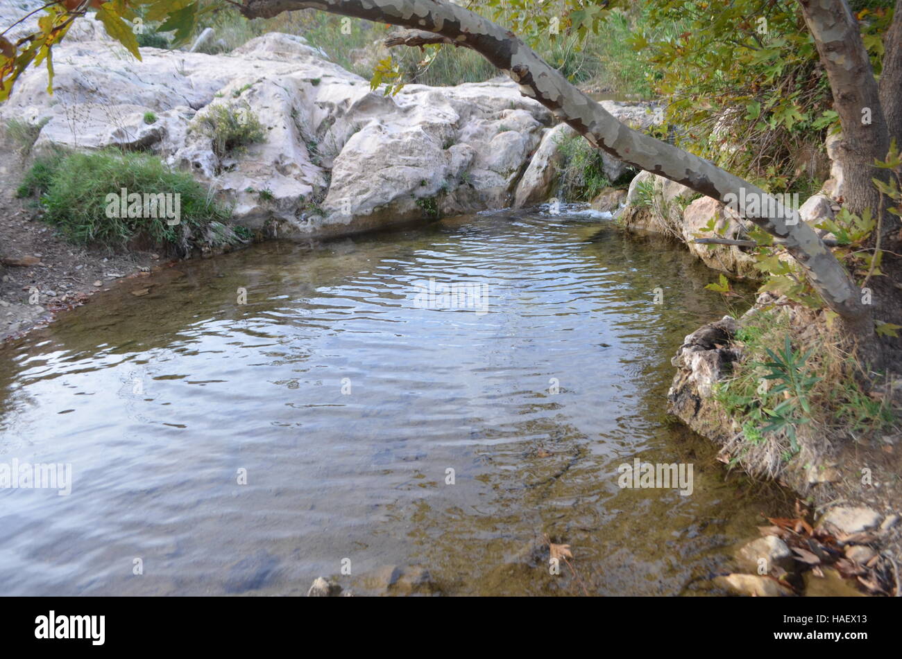 Nature photography out in the open space Stock Photo - Alamy