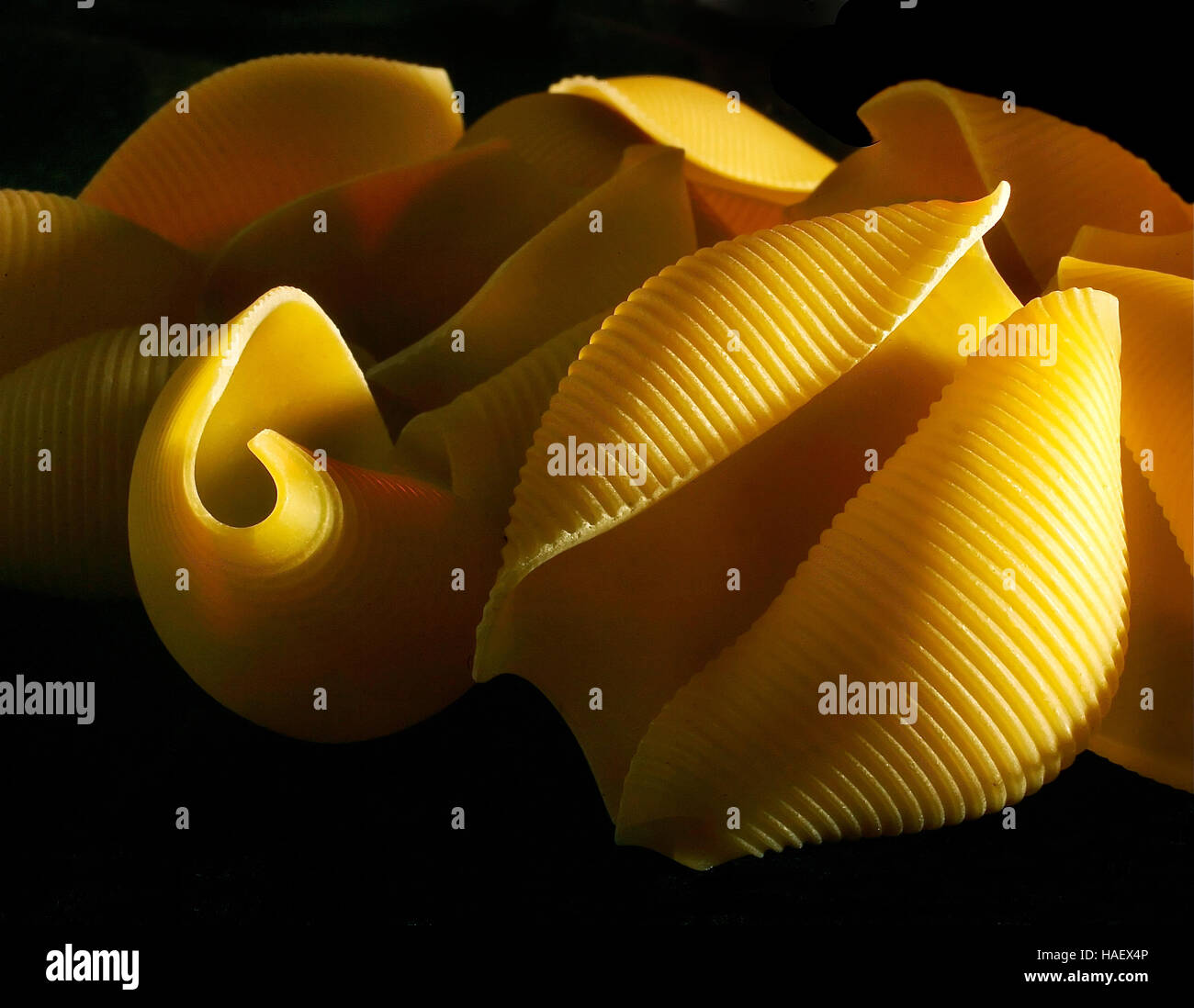 Pasta shells, dried pasta, is seen in an interesting lighting situation ...