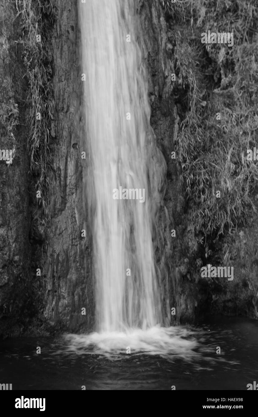 Nature photography out in the open space Stock Photo - Alamy