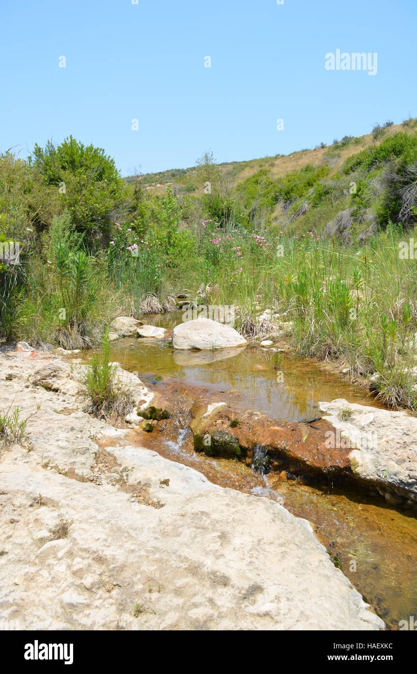 Nature photography out in the open space Stock Photo - Alamy