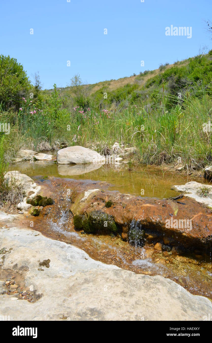 Nature photography out in the open space Stock Photo - Alamy