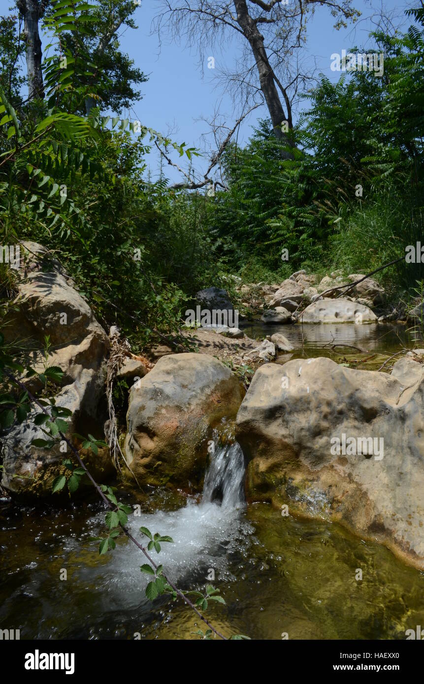 Image of abstract rock shape Stock Photo - Alamy